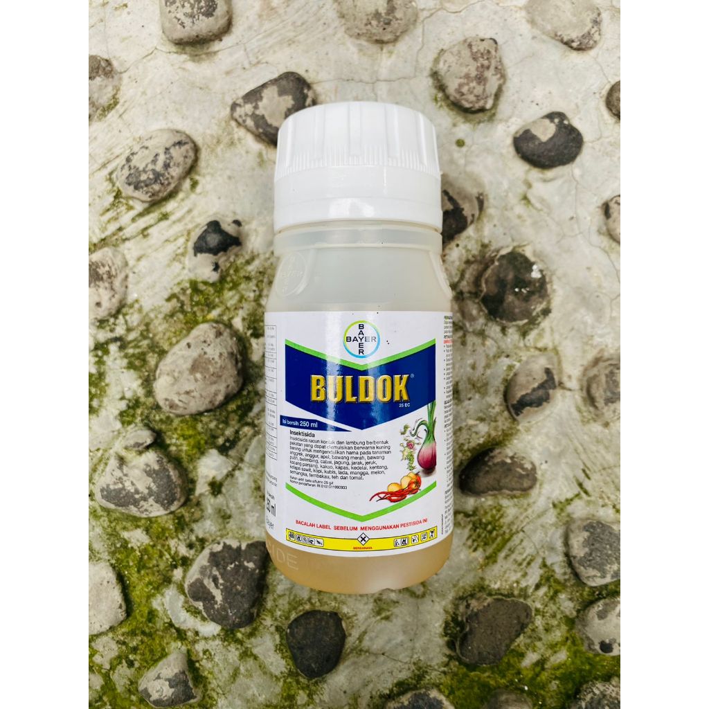 Jual Insektisida Bayer BULDOK 25EC 250ml | Shopee Indonesia