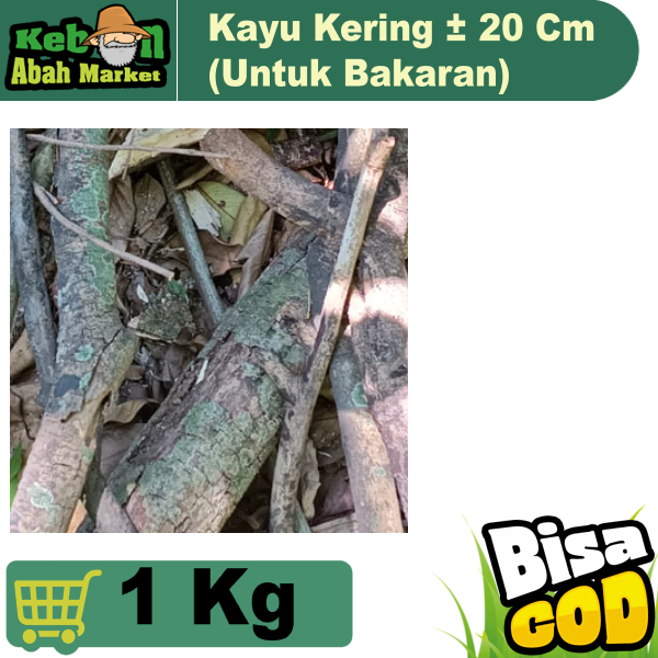 Jual Kayu Pohon Kering 1 Kg Untuk Bakar Bakaran Camping Api Unggun Size ...