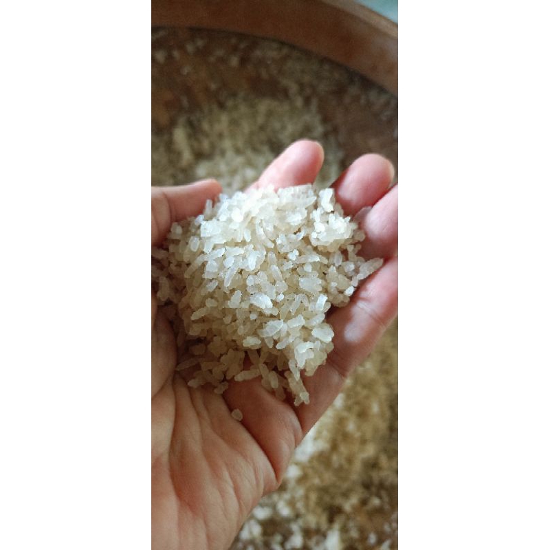 Jual nasi kering / karak/ nasi aking | Shopee Indonesia