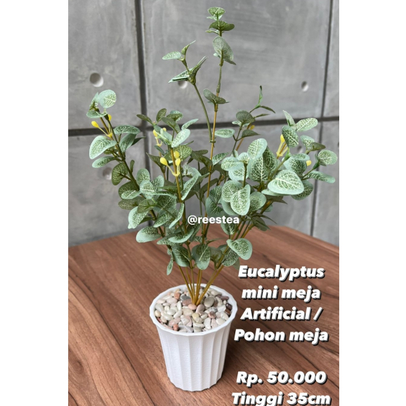 Jual Pohon Artificial Eucalyptus Mini / Pohon Hias Palsu/Artificial ...
