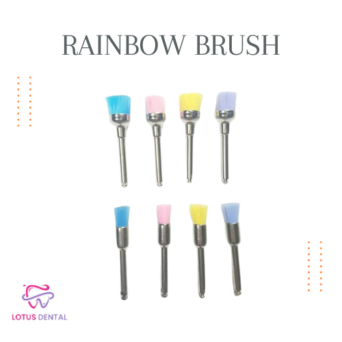 Jual Dental bur prophy brush nylon polishing prophylaxis burs poles ...
