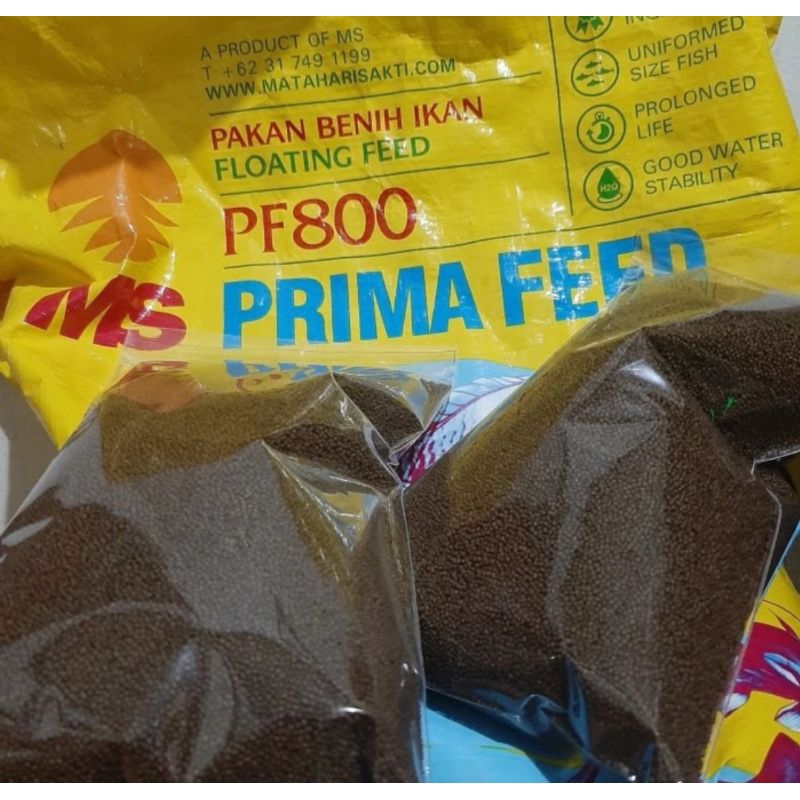 Jual Pelet PF-800 Pakan Benih Ikan Lele Nila 1 Kg | Shopee Indonesia