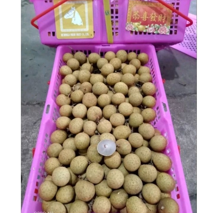 Jual Gift Pack Lengkeng Gold Kemasan 3kg | Shopee Indonesia