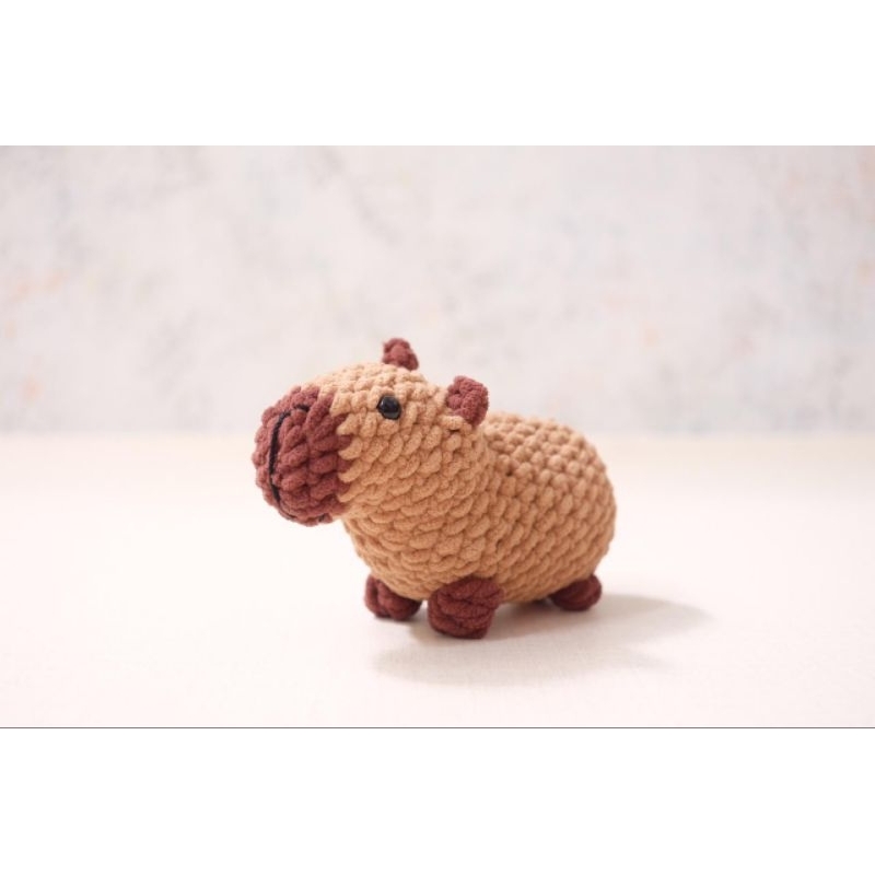 Jual CAPYBARA Plushie Boneka Crochet Custom | Shopee Indonesia