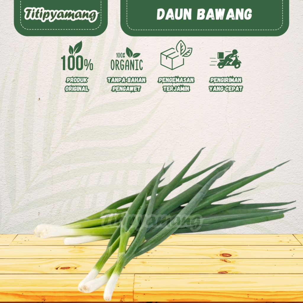 Jual Daun Bawang Segar | Spring Onion Fresh | Scallion | Shopee Indonesia