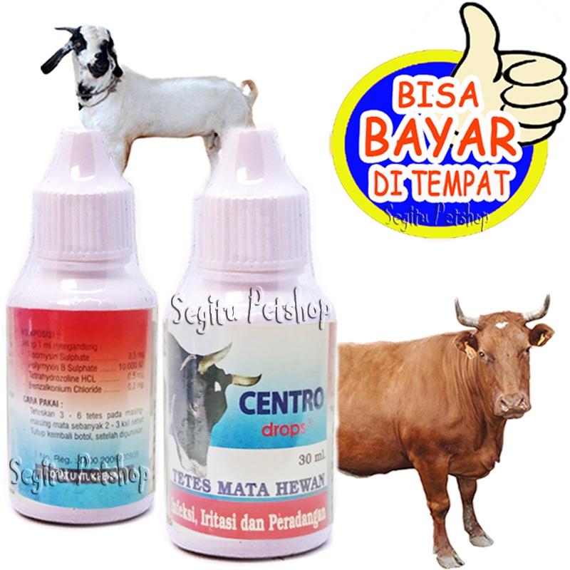 Jual Obat Mata Sapi Kambing Penghilang Sakit Bengkak Iritasi Centro ...