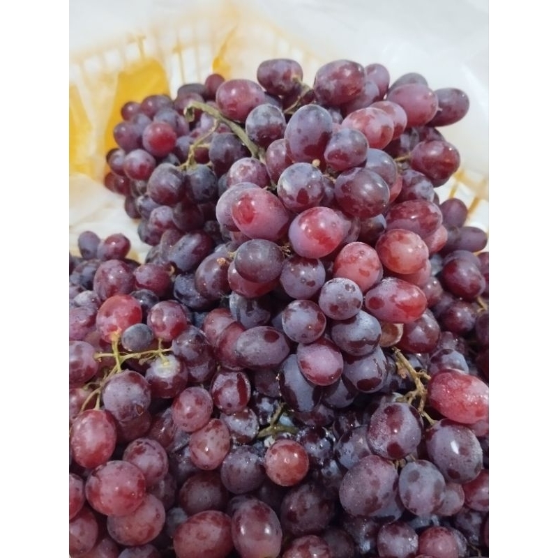 Jual ANGGUR CRIMSON MANIS TANPA BIJI (500g) | Shopee Indonesia