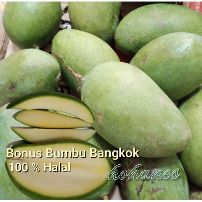 Jual MANGGA MUDA GARING AGAK ASEM COCOK UNTUK BUMIL ( RUJAK DLL ...