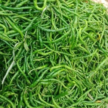 Jual Cabe keriting ijo 500g | Shopee Indonesia