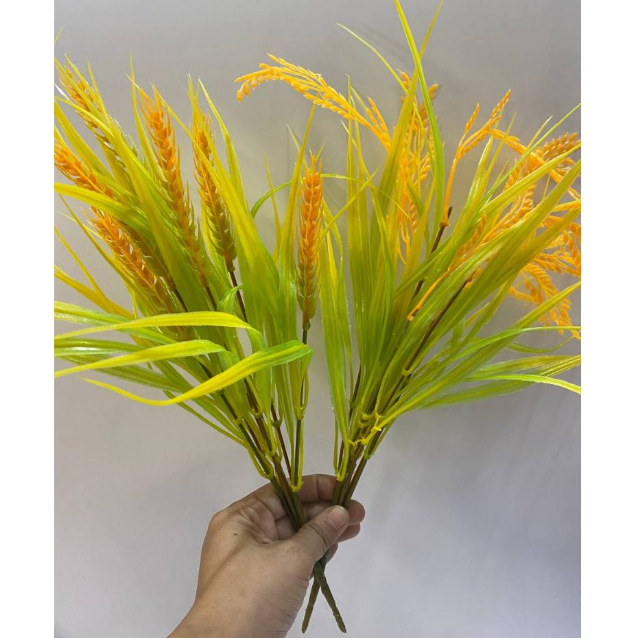 Jual Acc Gandum / Acc Padi 7 Cabang | Shopee Indonesia