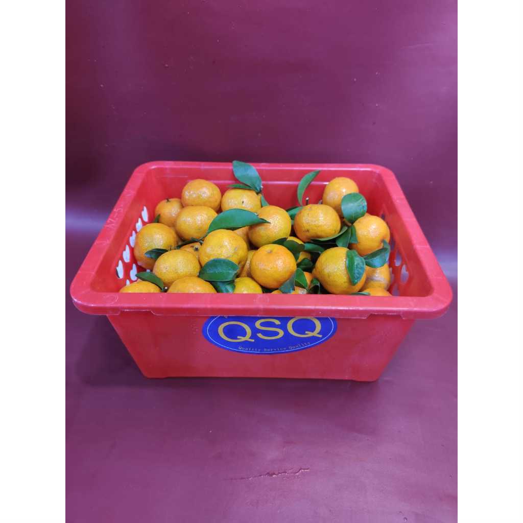 Jual Shantang Keranjang Eco Pack Jeruk Shantang Jeruk Mini 2Kg Fresh ...