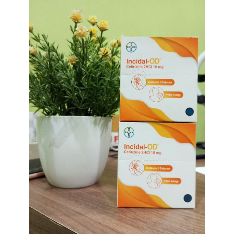 Jual incidal-od 10mg box 32 kapsul / obat alergi | Shopee Indonesia