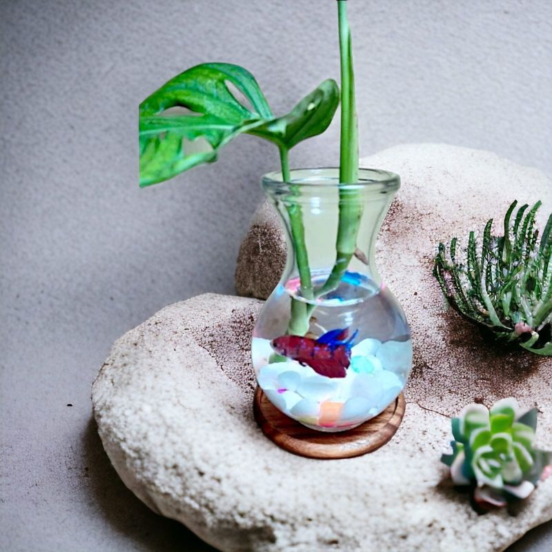 Jual Akuarium Mini Kaca 500ml / Aquarium Ikan Cupang Aesthetic / Tank ...