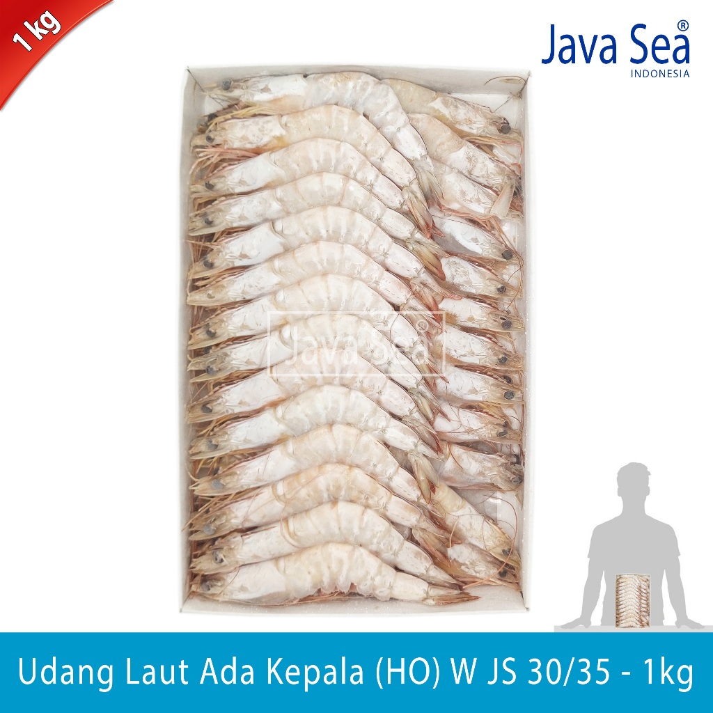 Jual Udang Laut Utuh Ada Kepala HO W JS 30/35 pack 1kg Java Sea ...