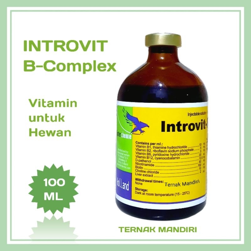 Jual INTROVIT B Complex 100 ML VITAMIN KAMBING DOMBA SAPI KERBAU ...