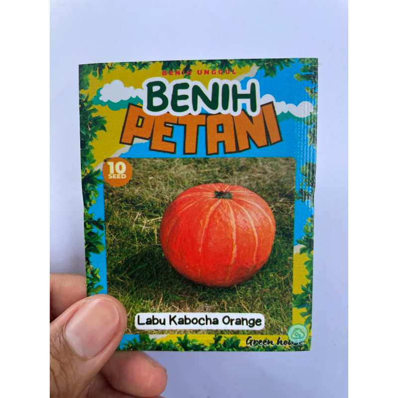 Jual 10 biji - benih LABU JEPANG kabocha kuning | Shopee Indonesia