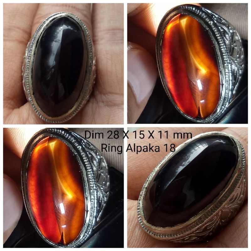 Jual Yaman Api Kantong Semar | Shopee Indonesia