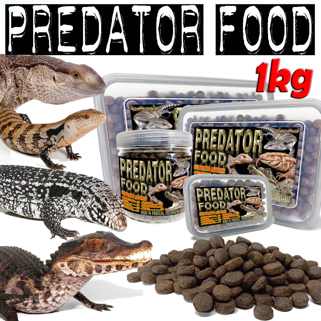 Jual 1KG PELET MAKANAN REPTILE PELLET DIET PREDATOR FOOD PAKAN KURA CST ... Jual 1KG PELET MAKANAN REPTILE PELLET DIET PREDATOR FOOD PAKAN KURA CST ...