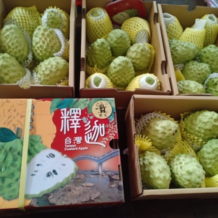 Jual Buah Srikaya Taiwan Jumbo Super 6 kg / box | Shopee Indonesia