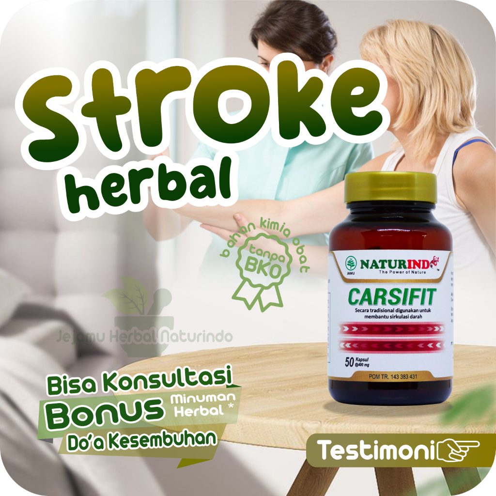 Jual Obat Stroke Struk Strok Ringan Berat Herbal Ampuh Lumpuh Susah ...