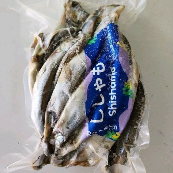 Jual IKAN SHISAMO PETELUR KHAS JEPANG 500 GRAM | Shopee Indonesia