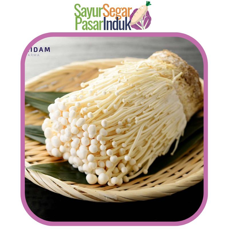 Jual Jamur Enoki Enoky Import Sayur Segar Pasar Induk | Shopee Indonesia