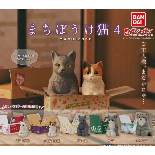 Jual Gacha - Bandai Gashapon Cat Kitten - MACHIBOKE / Capsule Toys ...