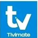 Jual tvmate premium 500 an channel lifetime | Shopee Indonesia