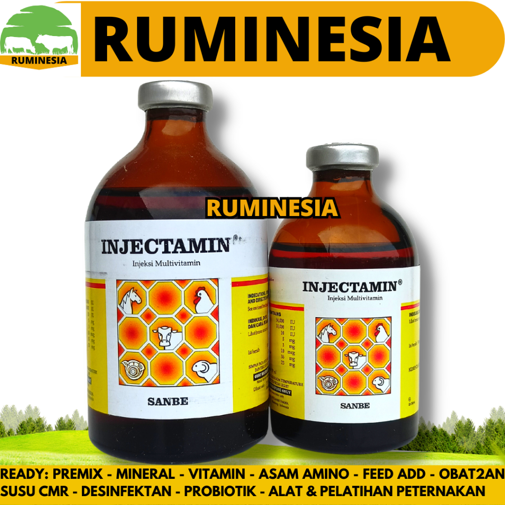 Jual INJECTAMIN 100 ml SANBE - Multivitamin Dosis Tinggi Untuk Hewan ...