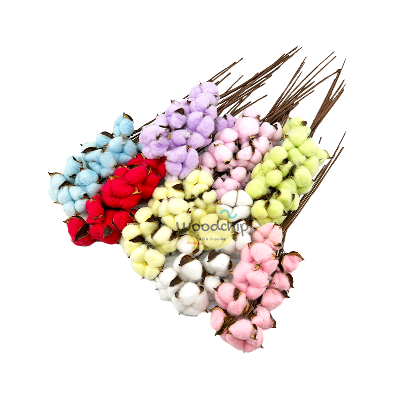 Jual [1 pcs] COTTON FLOWER ECER PER TANGKAI DRIED FLOWER / BUNGA KERING ...