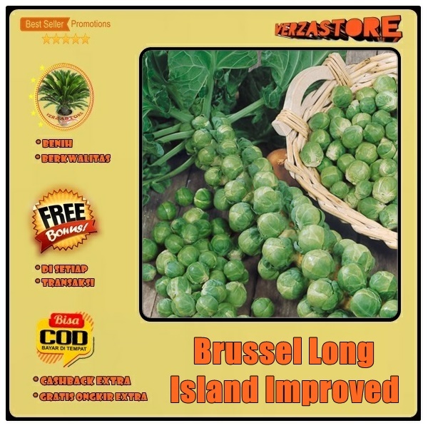 Jual Biji Benih Kubis Mini Brussels Long Island Improve / 5 biji ...