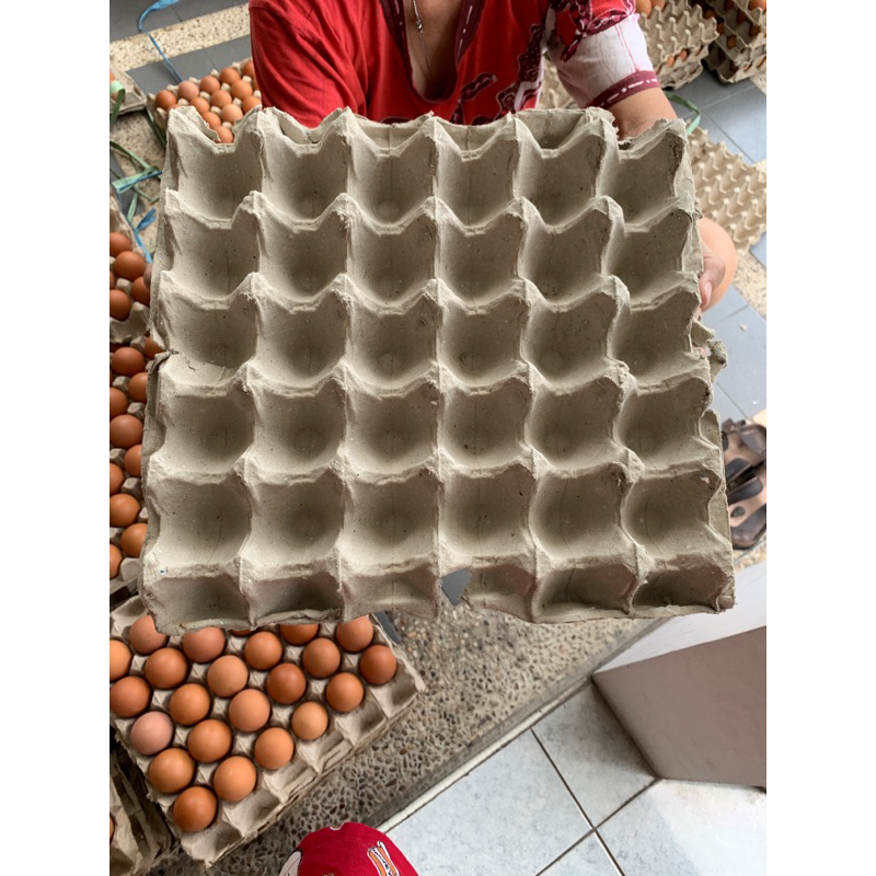 Jual Tray telur karton Baru (Grade B) / Tempat telor / Tray telor ...