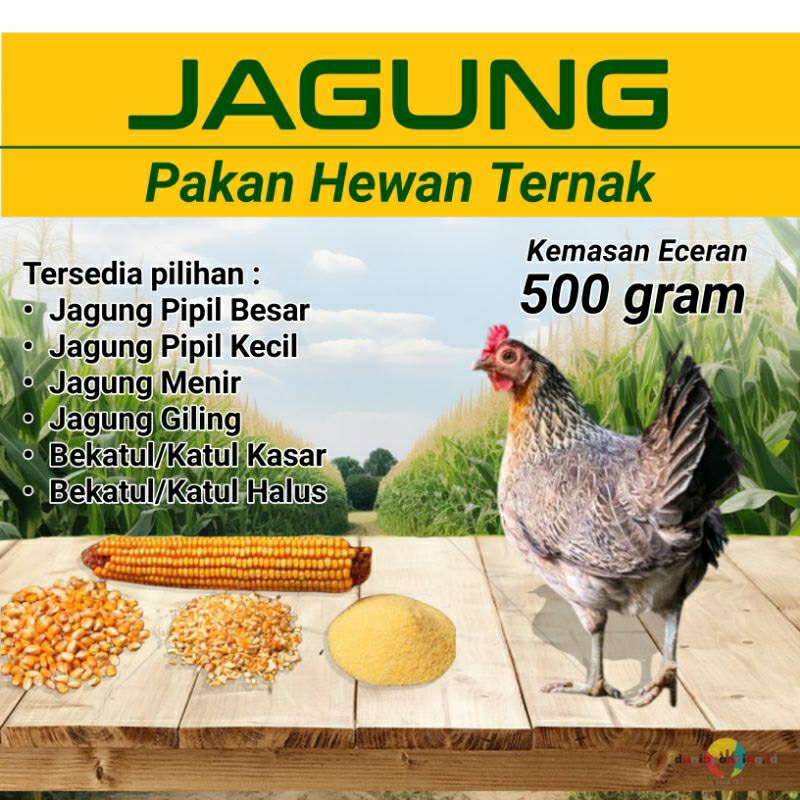 Jual Repacking kemasan eceran 500gr Jagung pipil jagung selip dan ...
