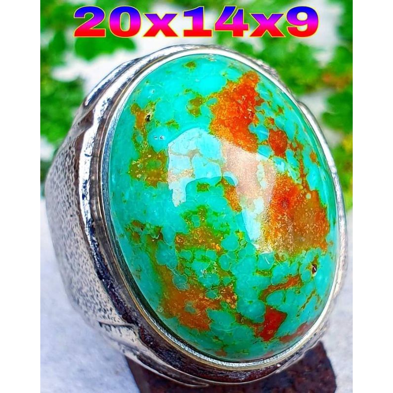 Jual natural Pirus Persia multi colour | Shopee Indonesia
