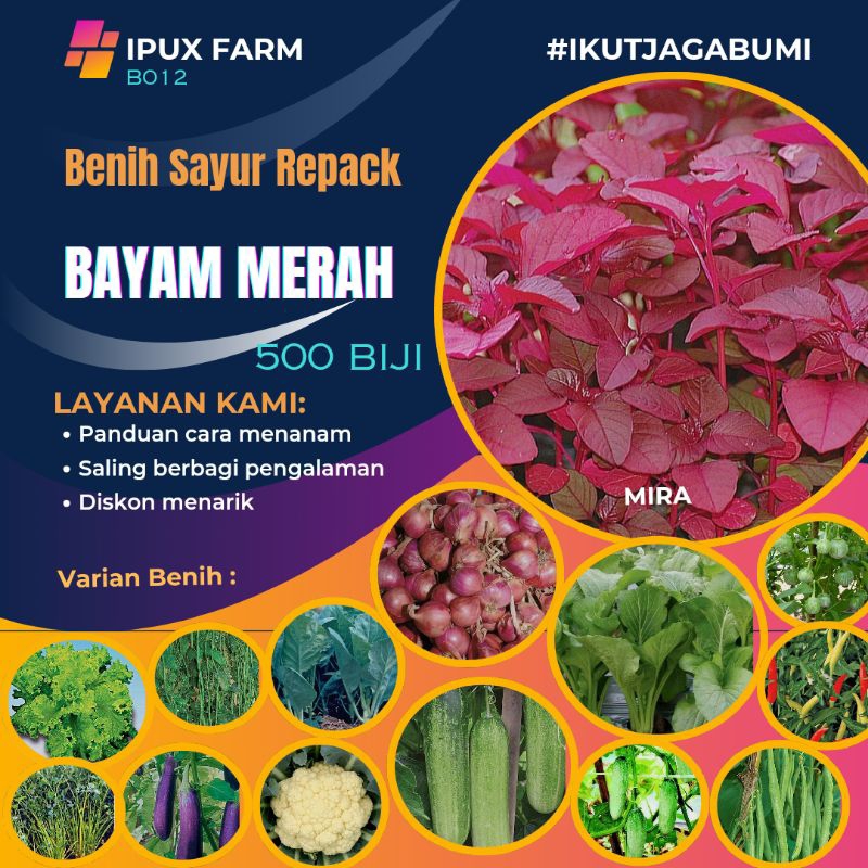 Jual BENIH BAYAM MERAH REPACK | Shopee Indonesia