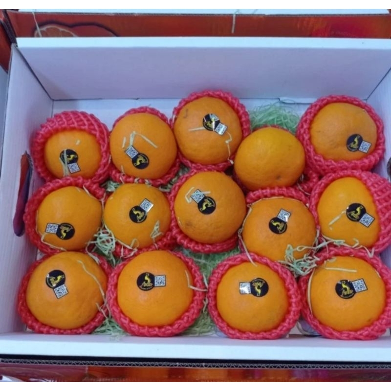 Jual Jeruk Papagan Chuanjian Fola 3 Kg / Box | Shopee Indonesia