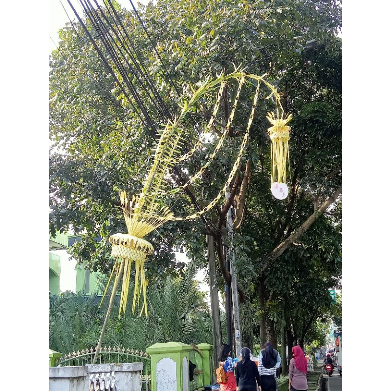 Jual Janur set lengkap | Shopee Indonesia