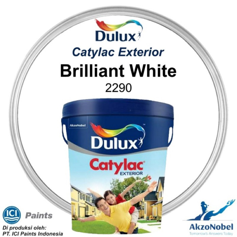 Jual DULUX CATYLAC EXTERIOR BRILLIANT WHITE 25 kg | Shopee Indonesia