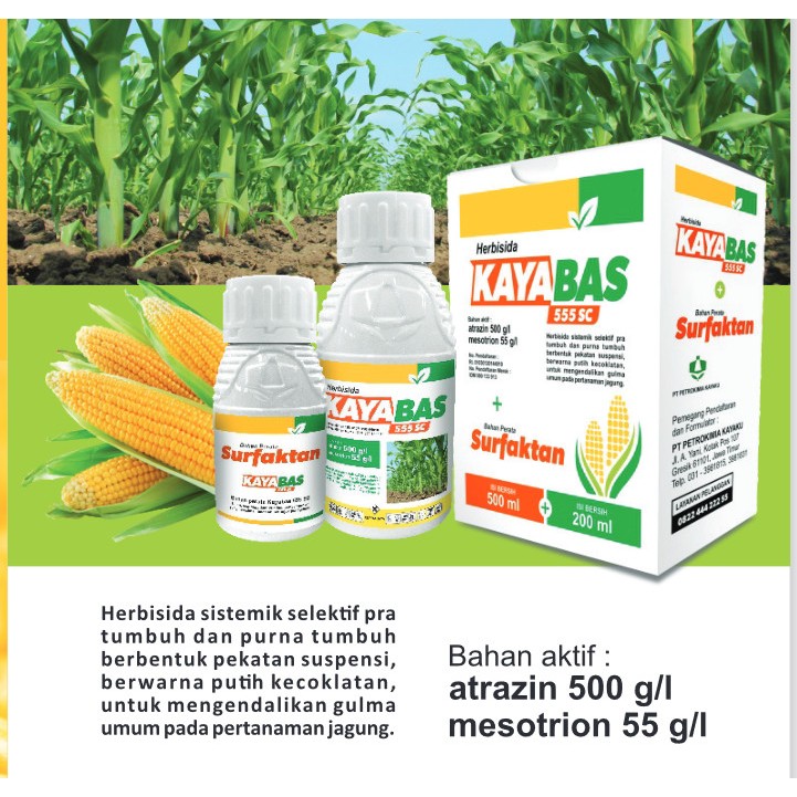 Jual Kayabas 555SC 1 Lt herbisida sistemik surfaktan racun rumput gulma ...