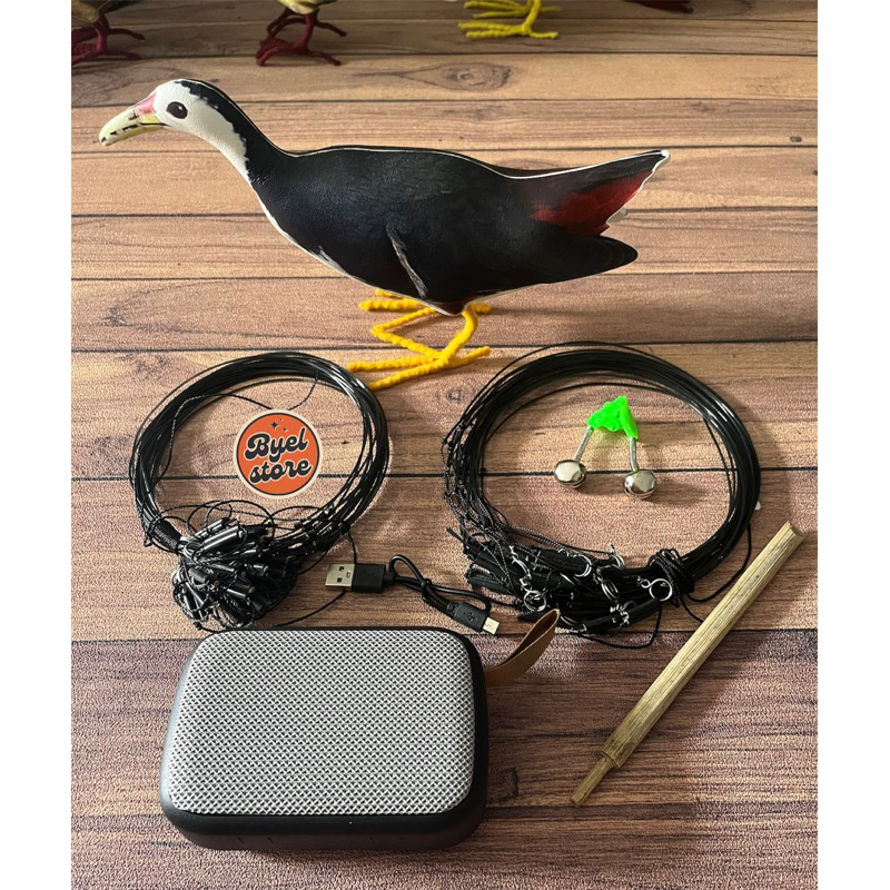 Jual Paket Komplit Jontrot kareo ruak ruak sawah + MP3 + Racik 4 meter ...