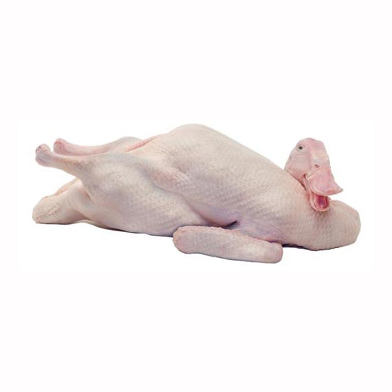 Jual bebek peking frozen beku berat 1 kg an pasar online makassar ...