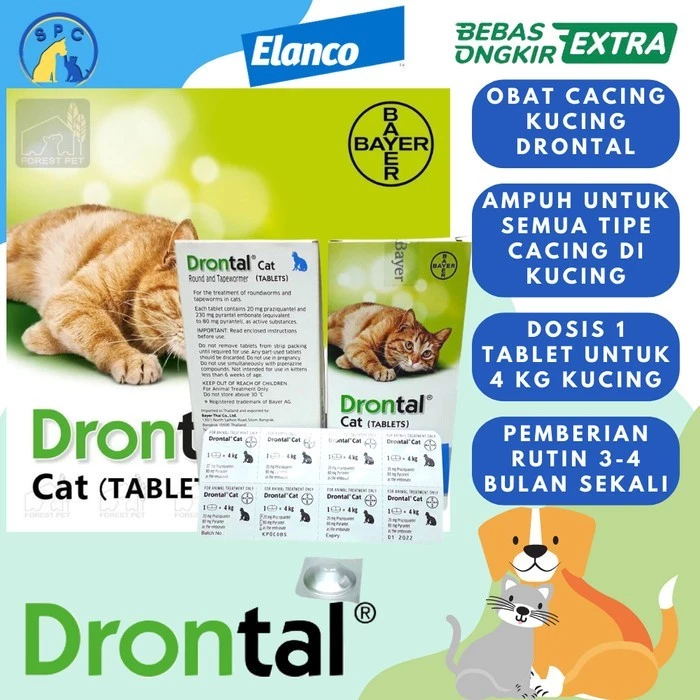 Jual DRONTAL CAT KUCING 1 TABLET - Obat Infeksi Cacing Hewan Kucing Cat Kitten Adult Original ...