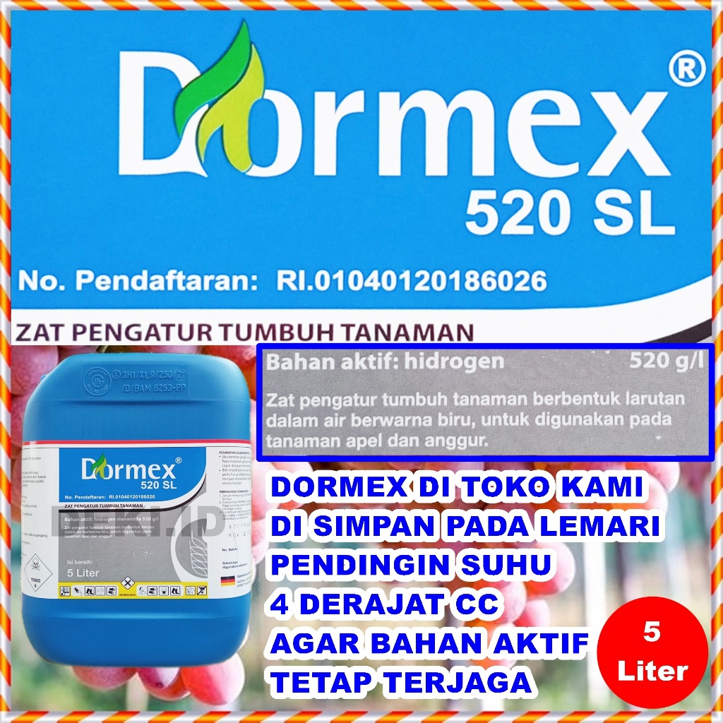 Jual Dormex 520 SL 5 Liter Kemasan Pabrik ZPT Penumbuh Tunas Anggur ...