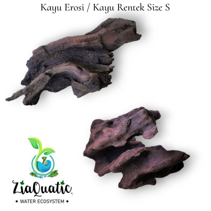 Jual Kayu Erosi/Kayu Rentek/Ornament/Terrarium/Paludarium/Aquascape ...