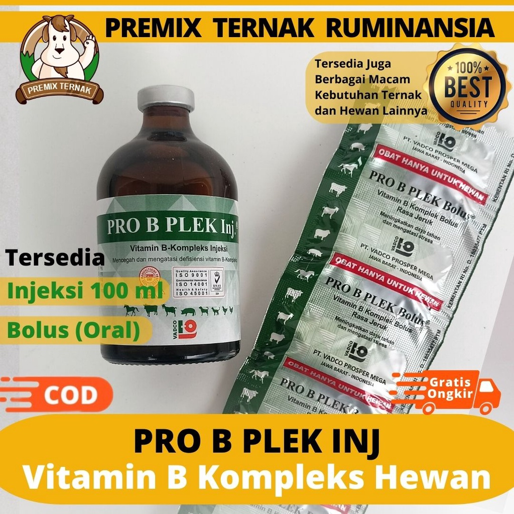 Jual PRO B PLEK INJ 100 ML - Vitamin B kompleks Hewan Sapi Kambing ...