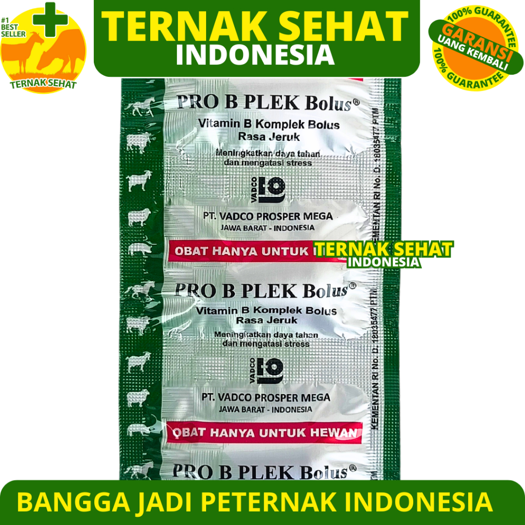 Jual PRO B PLEK BOLUS 1 BOLUS VADCO - Vitamin B kompleks RASA JERUK ...