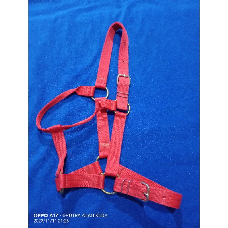Jual halter/bacokan,,kandang | Shopee Indonesia