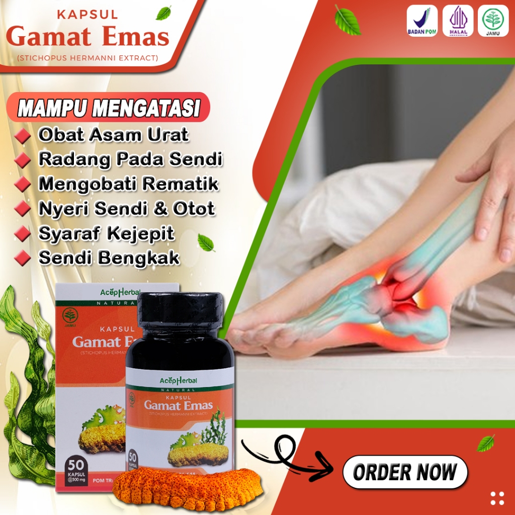 Jual Obat Sakit Lutut Kaki Bengkak Asam Urat dan Kolesterol Tinggi ...