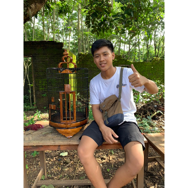 Jual sangkar anis jati polosan hitam kombinasi natural | Shopee Indonesia