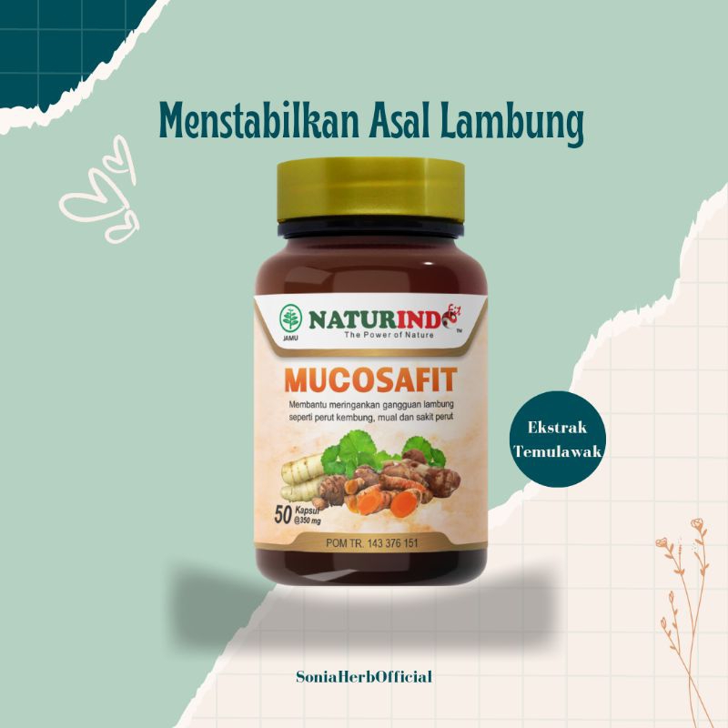 Jual Obat Herbal Asam Lambung Perih Mual Dan Muntah Nyeri Perut Demam ...